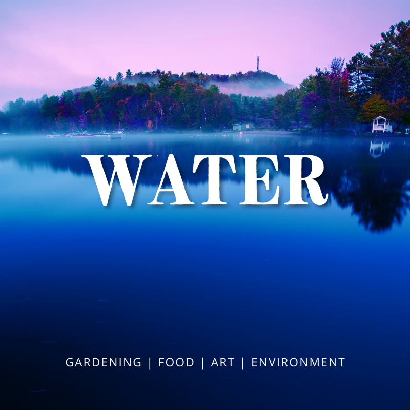 WATER - Protecting our Most Precious Resource | Brackenrig Nursery ...